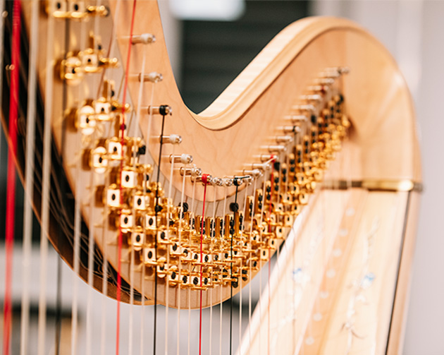 Harfenzentrum - die beste Harfenauswahl in Zürich und Kriens-Luzern
